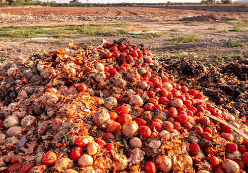 Chevron backs California waste-to-hydrogen project